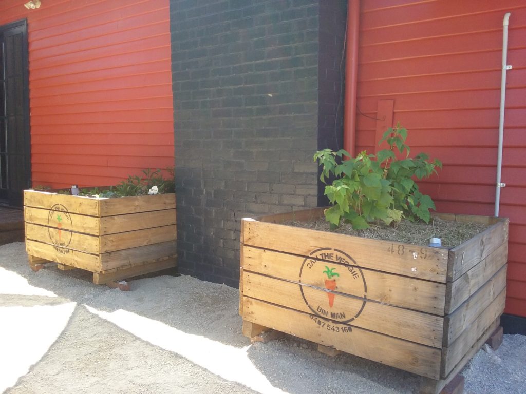 Apple Planter box (plain) – Dan the Veggie Bin Man