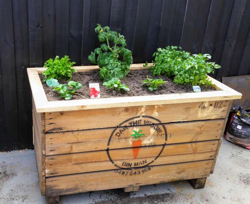 Large rectangle Bin – Dan the Veggie Bin Man